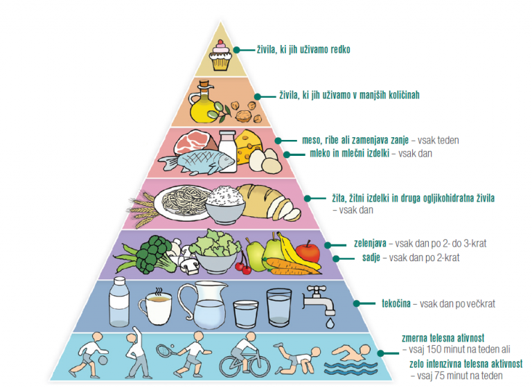 prehranska-piramida | Slovensko farmacevtsko društvo